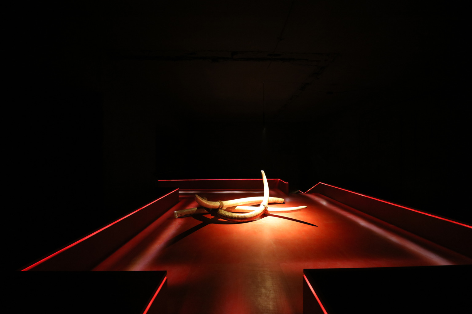 German Ivory Museum - Licht Kunst Licht AG